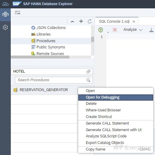 SAP HANA Database Explorer 里的 SQL 语句如何排错 trouble shoot - 知乎