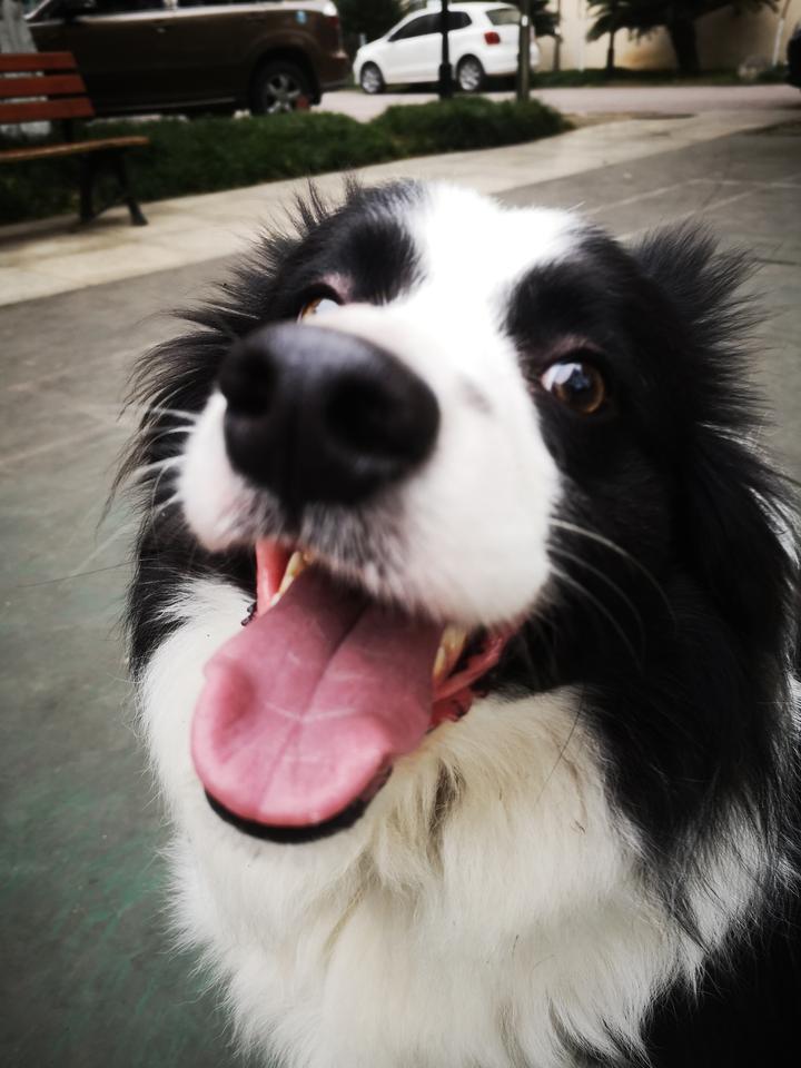 如何在RPA中实现PDF转图片 - 知乎