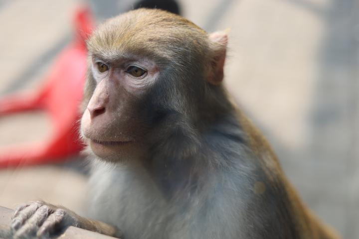 Improving Natural Language Inference Using External Knowledge in the Science Questions Domain 论文 ...