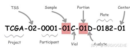 9.3.1.1.TCGA(THE CANCER GENOME ATLAS) - 知乎
