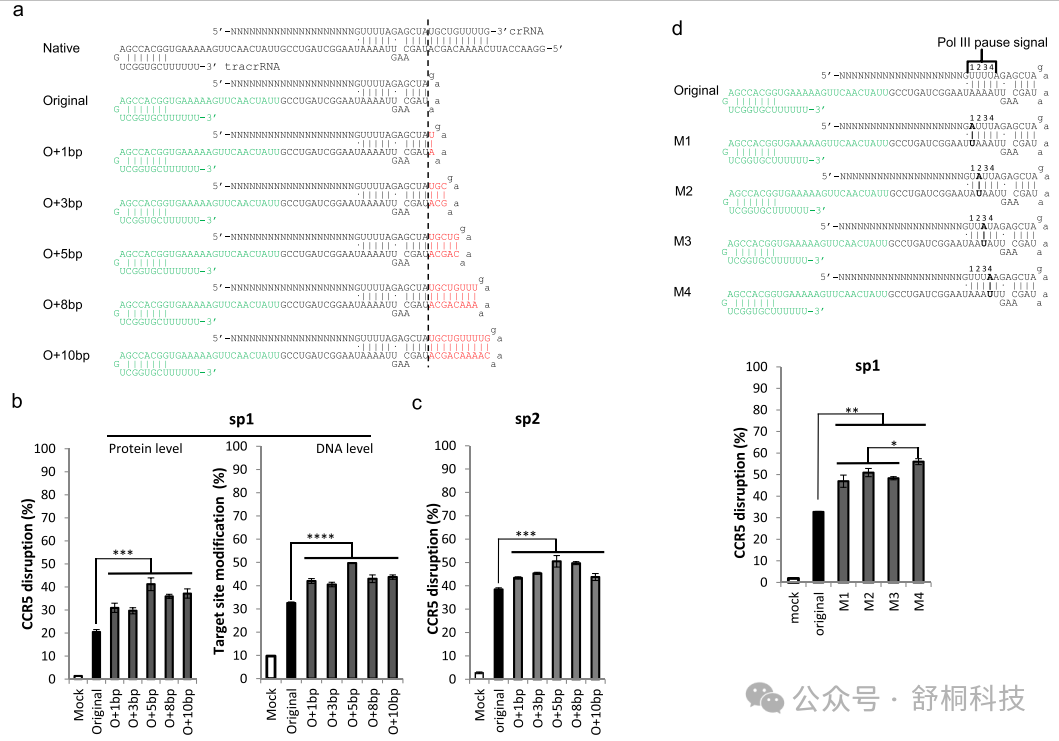 Genome Biology｜sgRNA结构优化揭秘CRISPR-Cas9效率倍增新机制 - 知乎