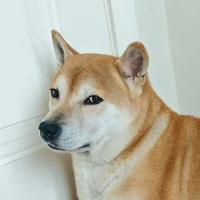 基于qInstallMessageHandler()的Qt5-Log日志使用方法 - 知乎