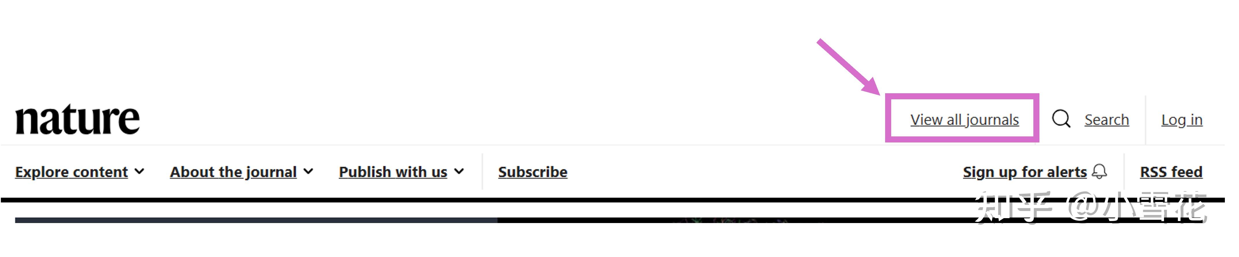nature 期刊的投稿流程有哪些？ - 知乎