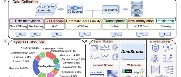 DinoSource发布！首个高精度甲藻基因组资源数据库，赋能藻类植物基因功能研究！｜PBJ - 知乎