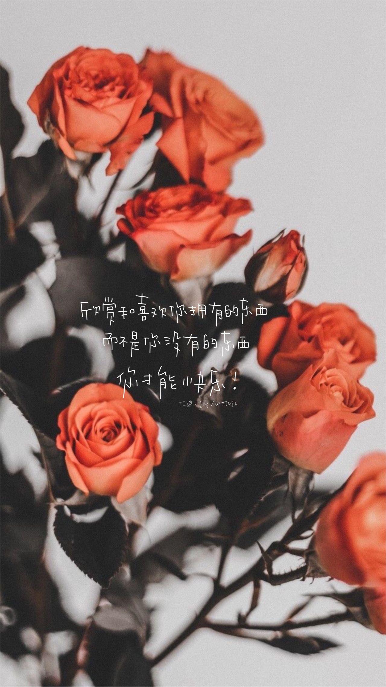 有哪些看上去开心的高清壁纸？ - 知乎