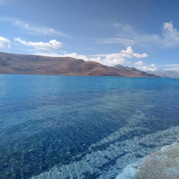 第3位|自体心理学家书单之Michael Franz Basch(迈克尔·弗兰兹·巴史克) - 知乎