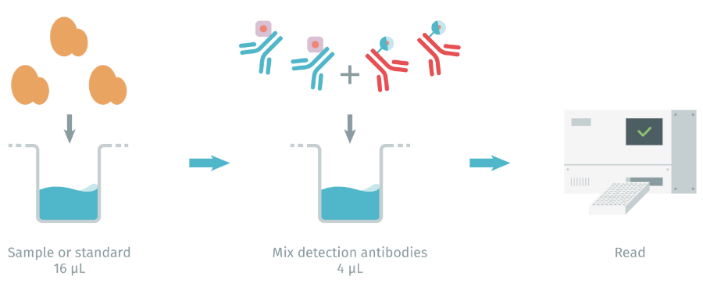 新品发布+迭代升级 | HTRF细胞因子定量试剂盒_化工仪器网