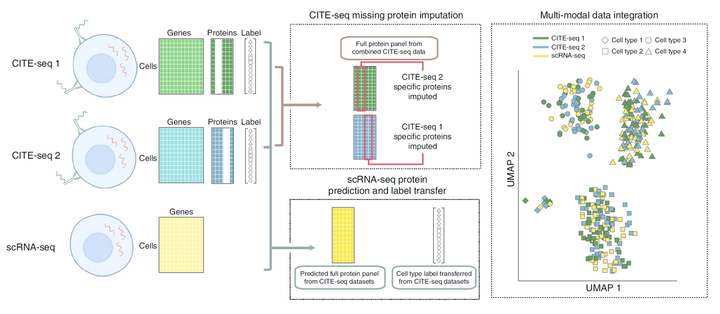 Nature Machine Intelligence | 深度学习预测蛋白表达 - 知乎