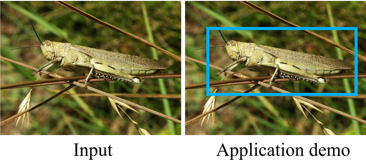 CVPR2020 Camouflflaged Object Detection 论文+代码详解 - 知乎