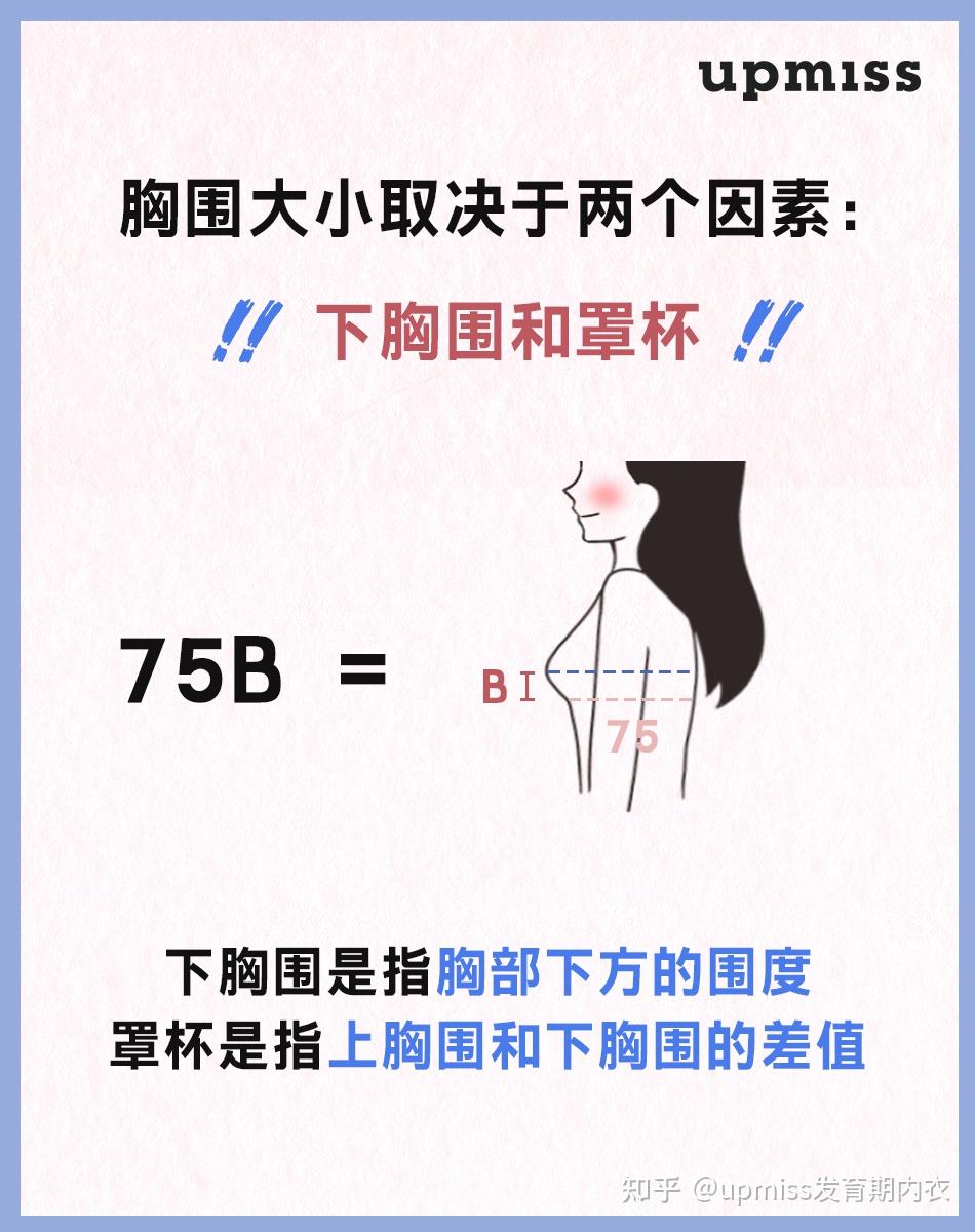 胸部科普 l 70B和75B哪个大？看完这个全懂了 - 知乎