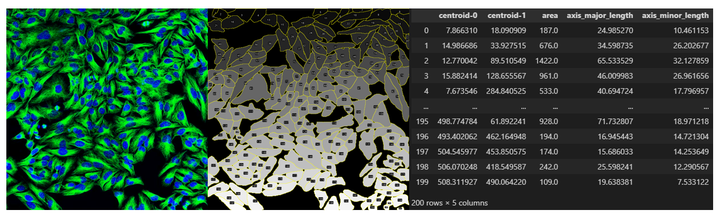 细胞分割神器——Cellpose（自动计数篇） - 知乎