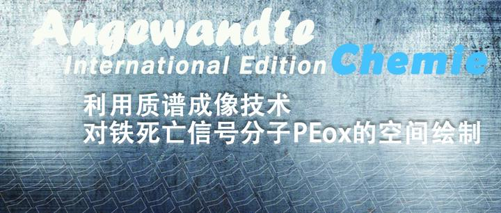 IF=15！质谱成像技术揭示铁死亡信号分子PEox的空间定位 - 知乎