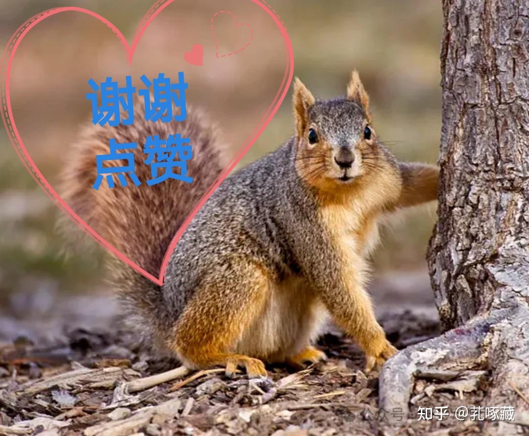 视崖实验中，婴孩对深度的感知是怎样形成和发展的？ - 知乎