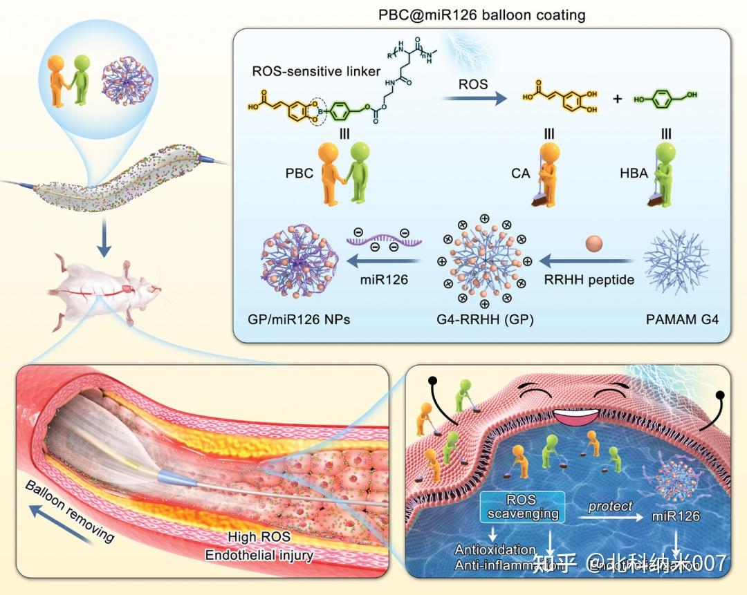 革命性的治疗策略——ROS响应聚合物 - 知乎