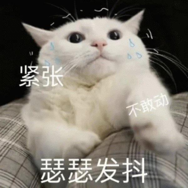 26Fall美本申请必备指南：最新EA/ED/RD截止日期及各校政策更新汇总 - 知乎