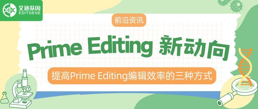 Prime Editing新动向-提高Prime Editing编辑效率的三种方式 - 知乎