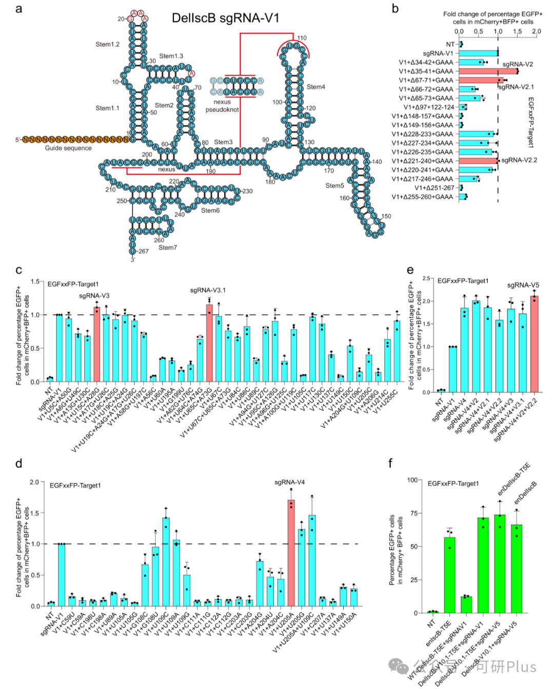 NC | 仅457aa！Cas9“老祖宗”变身超强微型编辑器，中科院田勇团队开发enDelIscB系统，编辑效率提升近50倍 - 知乎