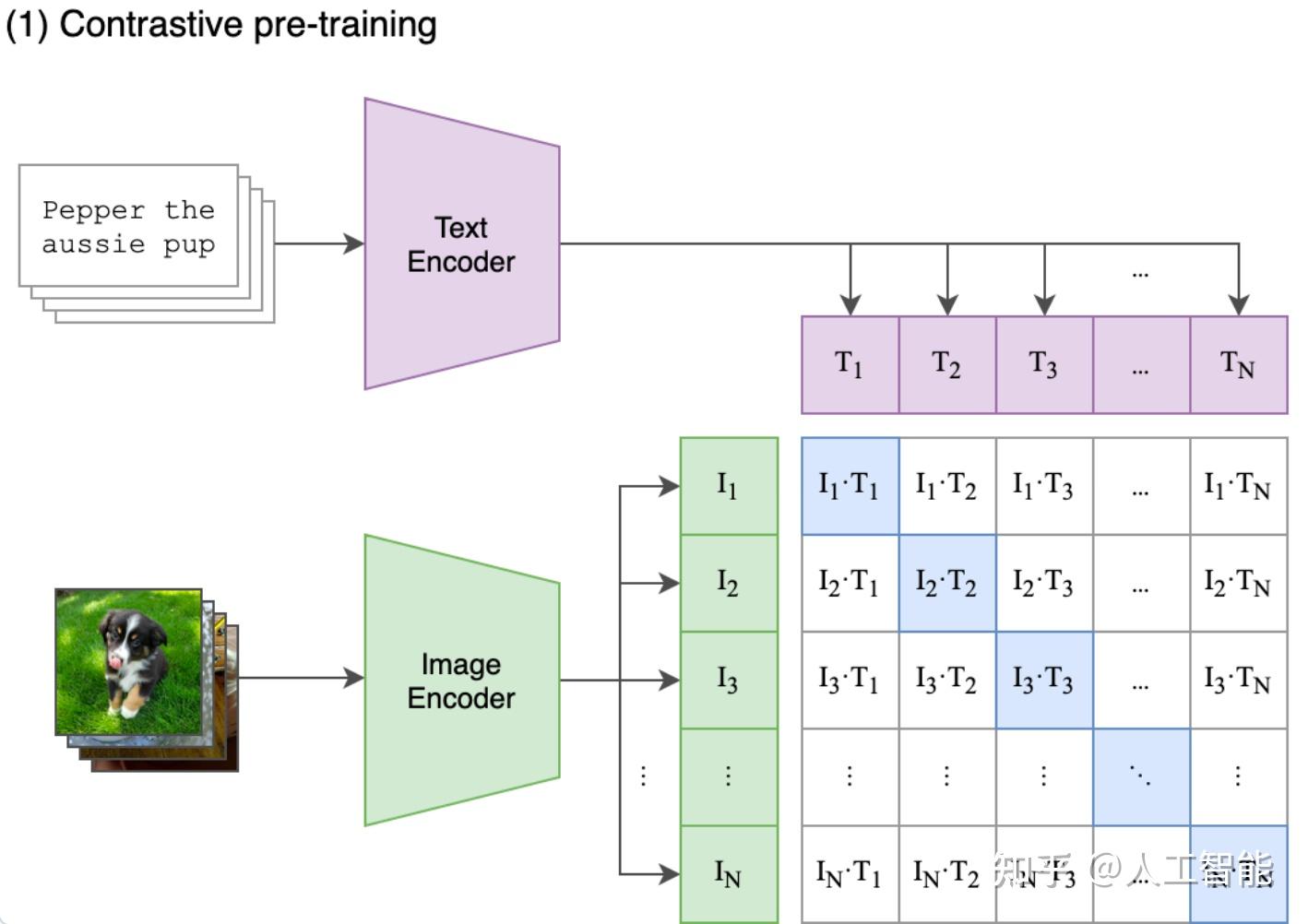 CLIP 核心代码解读 - 知乎