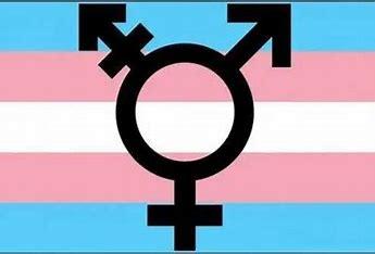 一个FTM的个人介绍 - 知乎