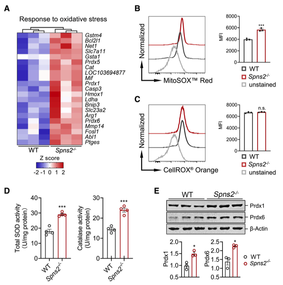 EMBO Reports丨增强巨噬细胞中的 Spns2/S1P 可减轻脓毒症中的过度炎症并防止免疫抑制 - 知乎