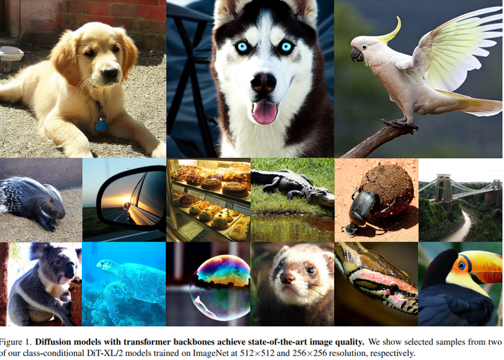 详解DiT—Sora背后的关键技术 - 知乎