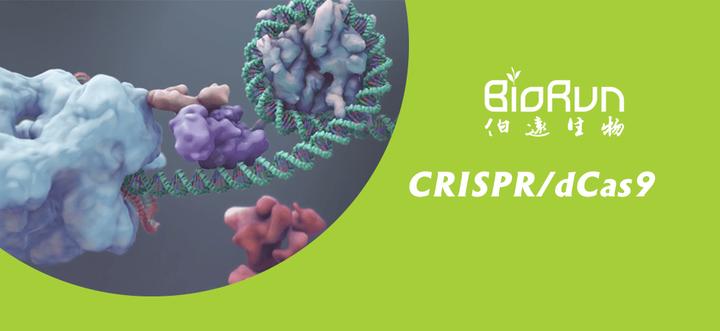 谈谈CRISPR/dCas9系统的“百变”应用（一） - 知乎