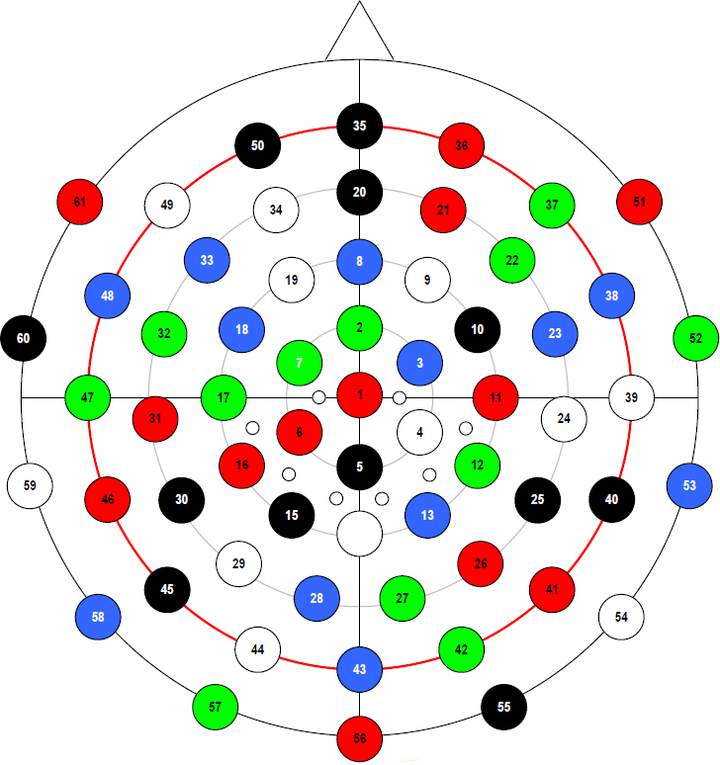 超详细TMS-EEG数据处理教程（上） - 知乎
