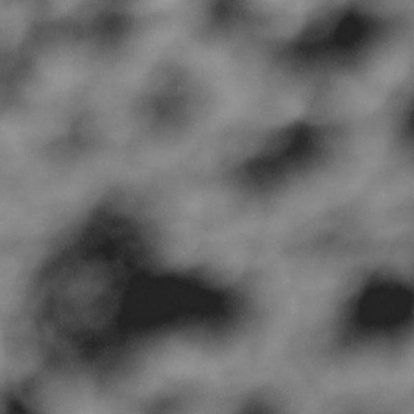 Cellpose3 部分解读 - 知乎