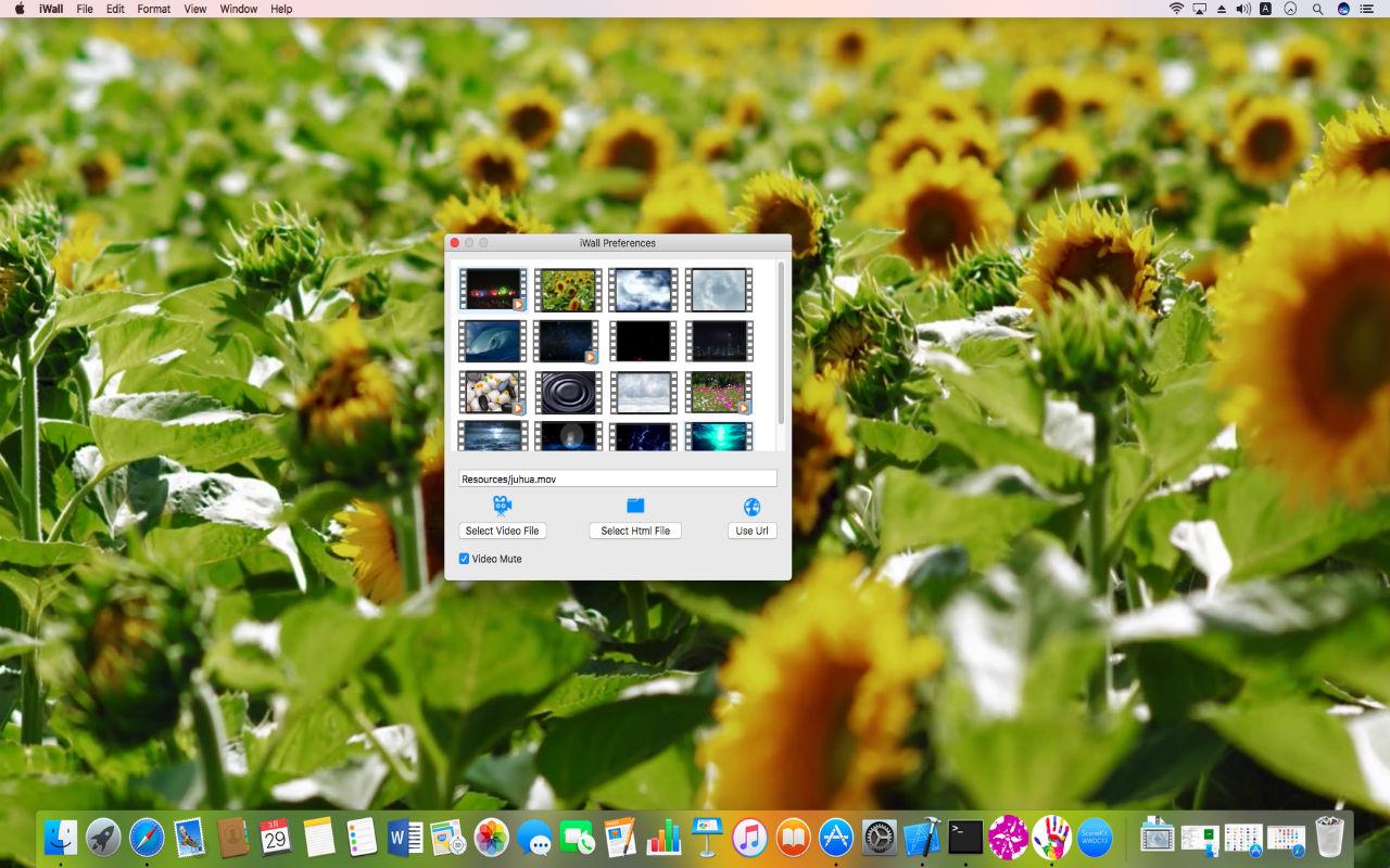 wallpaper engine可以在macbook用吗? - 知乎