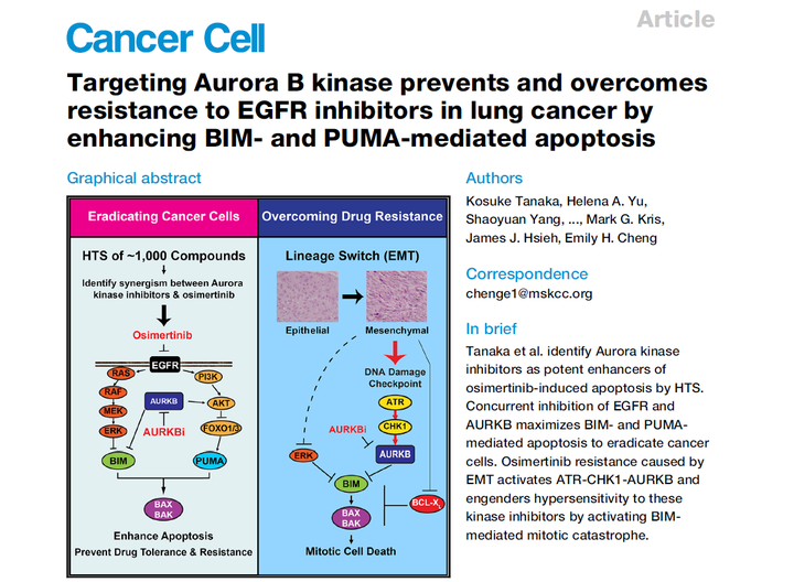 Cancer Cell | 靶向Aurora B激酶通过增强BIM和PUMA介导的细胞凋亡克服EGFR抑制剂耐药 - 知乎