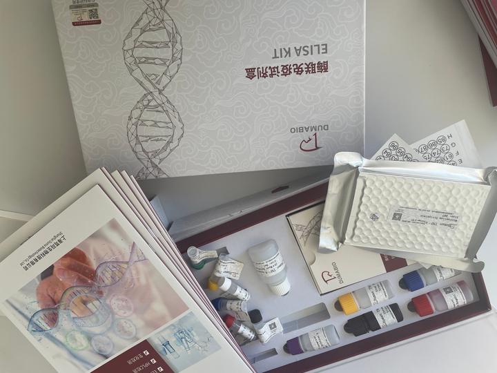 豚鼠胆囊收缩素/肠促胰酶肽B受体(CCKBR)ELISA试剂盒 - 知乎