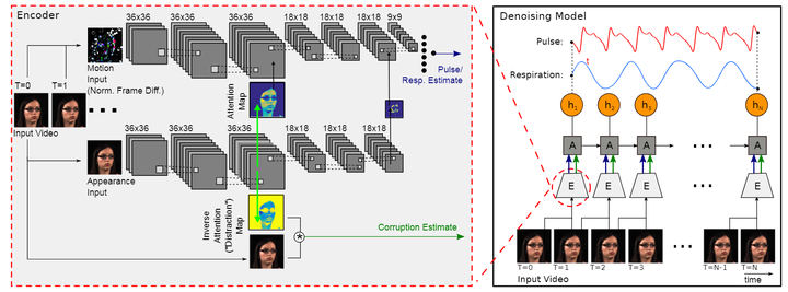 【rPPG论文阅读】Denoising Camera-Based Physiological Measurements using Inverse Attention - 知乎