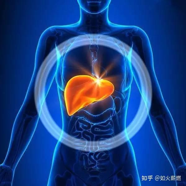 ggt 偏低是什么意思？应该怎么处理？ - 知乎