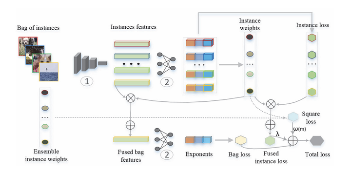 论文笔记 | Loss-Based Attention for Deep Multiple Instance Learning（AAAI 2020） - 知乎