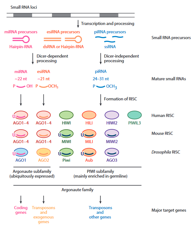 觅瑞启动全球首个 cfRNA 结合 cfDNA 多组学泛癌种早筛研究 CADENCE 项目，有何意义？ - 知乎