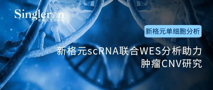 如虎添翼丨新格元scRNA联合WES分析助力肿瘤CNV研究 - 知乎
