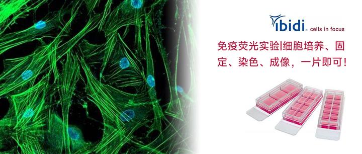 ibidi可移除腔室载玻片|细胞培养、固定、染色、成像，一片即可！ - 知乎