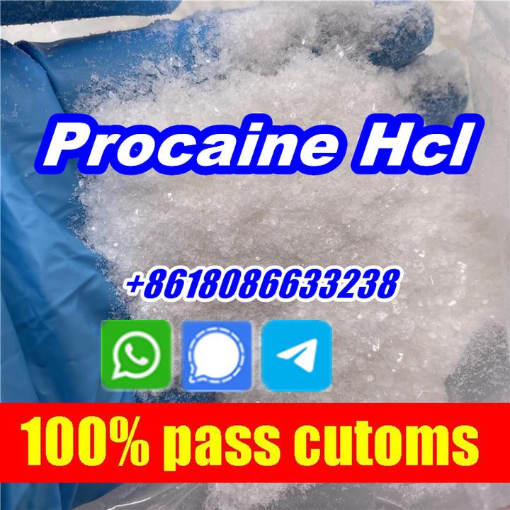 Procaine hcl Procaina powder Procaine hydrochloride 51-05-8 - 知乎
