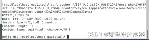 ssrf之gopher协议的使用和配置，以及需要注意的细节 - 知乎