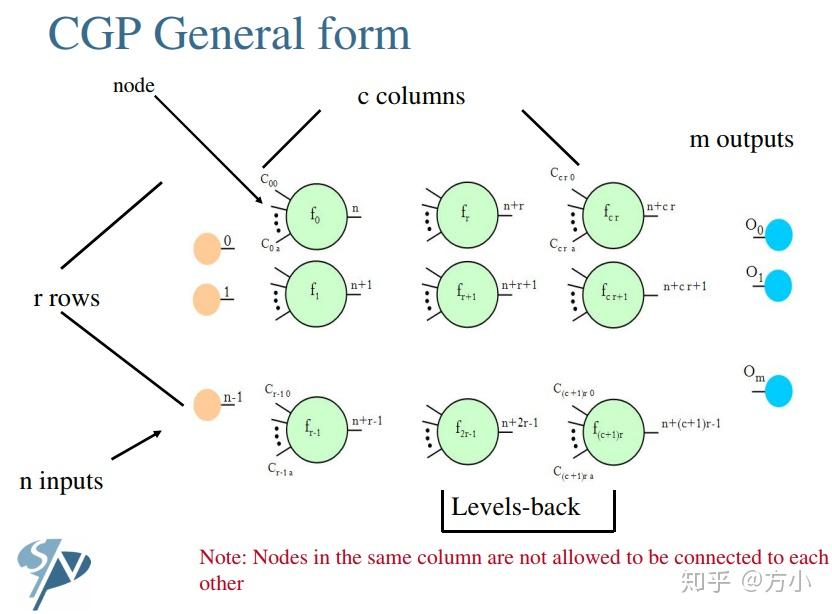 笛卡尔遗传规划Cartesian Genetic Programming (CGP)简单理解 - 知乎