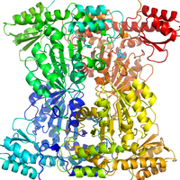 生物催化中的Prelog和anti-prelog规则 - 知乎