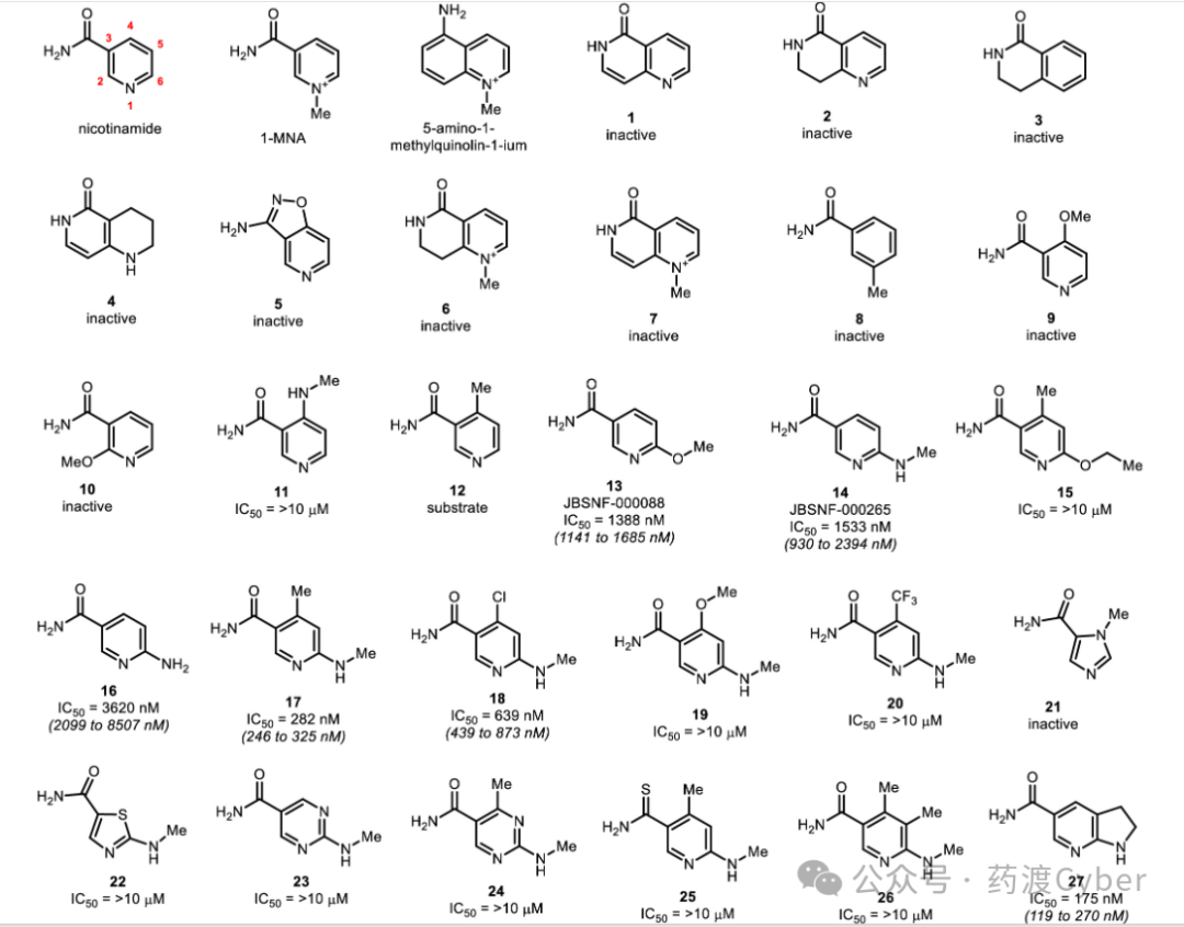 药渡Cyber解析，研究发现：NNMT已成为治疗癌症的有效靶点 - 知乎