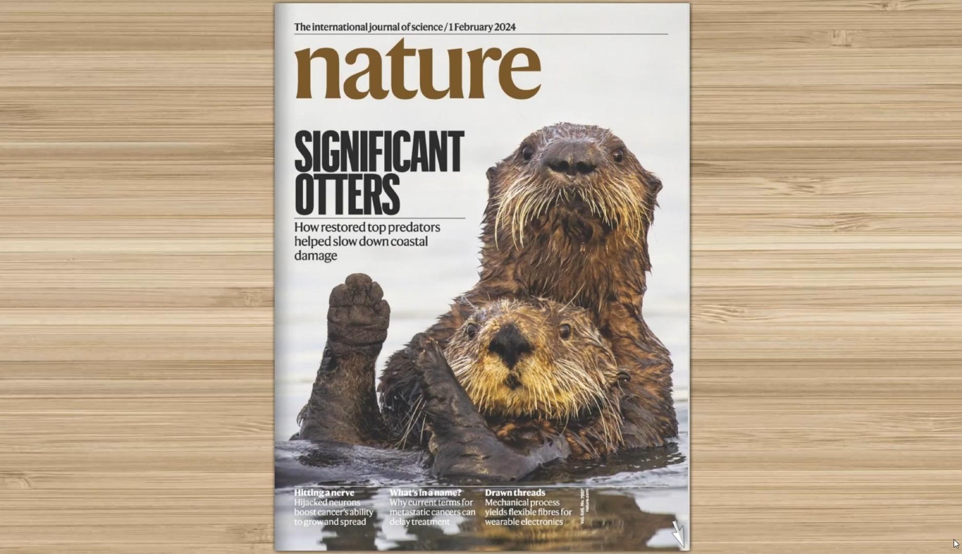 Nature-自然杂志2024年全年合集下载电子版PDF网盘订阅 - 知乎