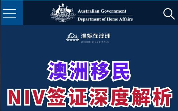 NIV签证深度解析 - 知乎