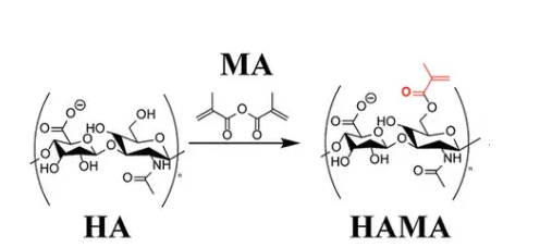 HAMA-30光固化透明质酸水凝胶/Hyaluronic acid Methacryloyl - 知乎