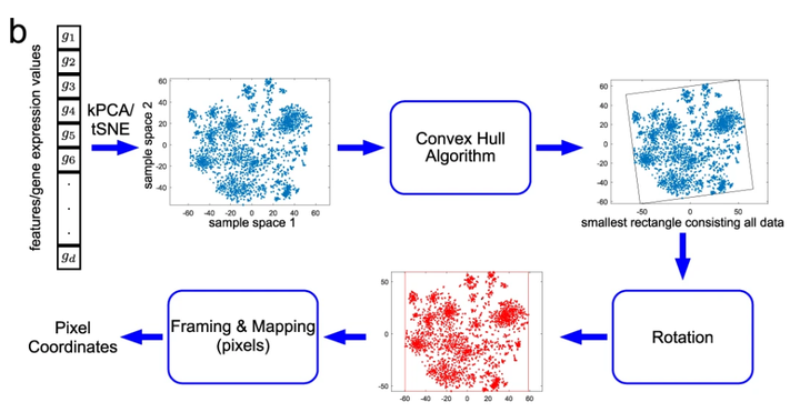 Deepinsight: transforming non-image datas to images - 知乎