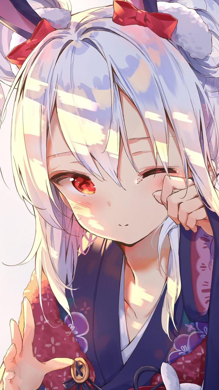 Alpha Evolve研究报告：算法进化革命与AGI之路 - 知乎