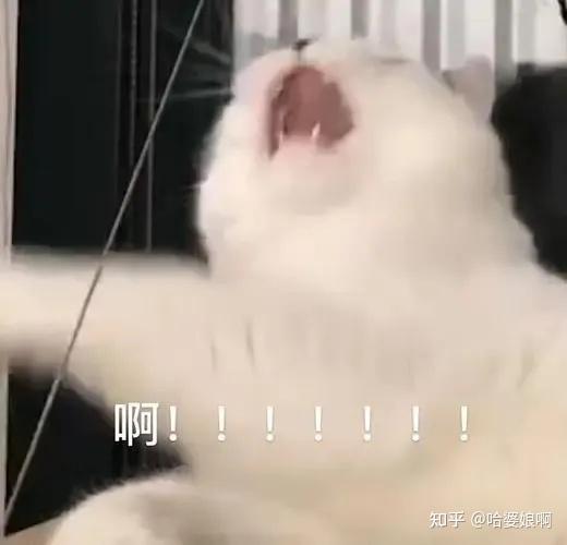 搞怪有趣的咆哮体表情包~彻底疯狂！ - 知乎
