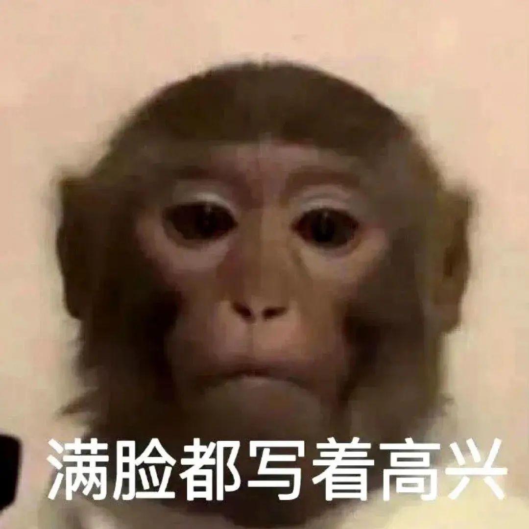 吗喽表情包、猴子表情包，高清无水印 - 知乎
