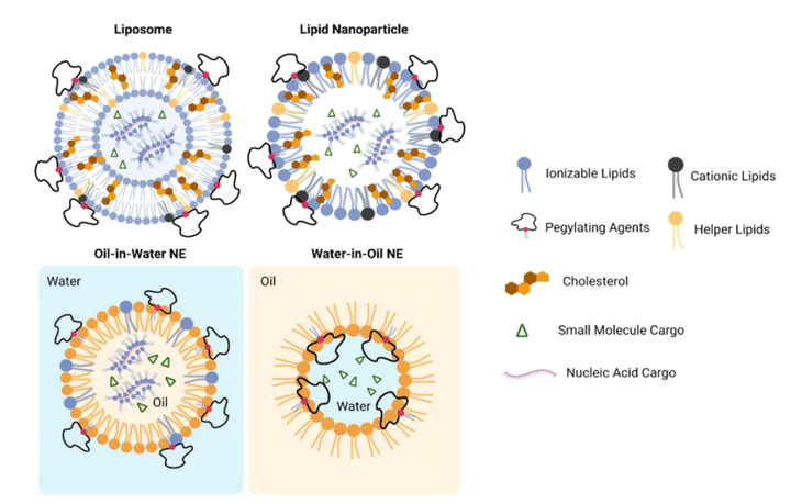 脂质纳米颗粒(LNP)在肿瘤免疫治疗中的应用 - 知乎